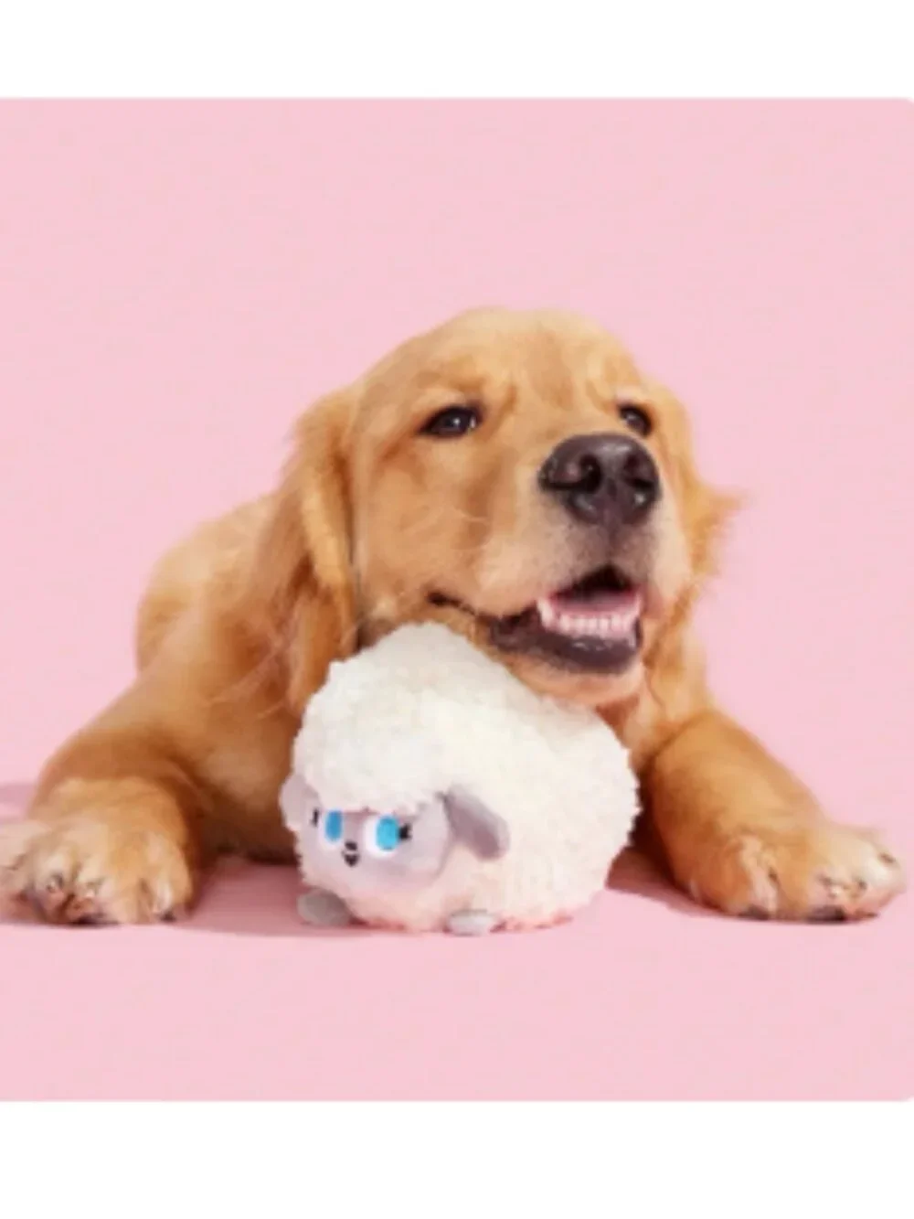Bark | Dog | Bark Ewenice Lamb Dog Toy Nwt | Poshmark